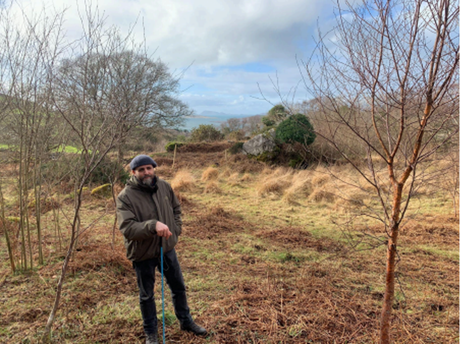 An Irish Atlantic Rainforest Offers a Vision for the Future – Evergreen ...